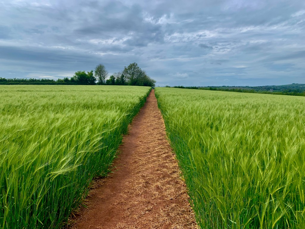 Regenerative Learning Network – Your partners for a regenerative future