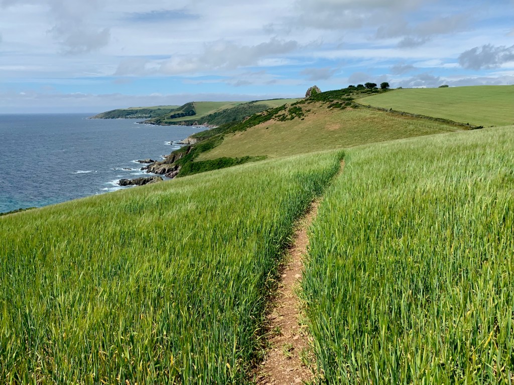 Regenerative Learning Network – Your partners for a regenerative future