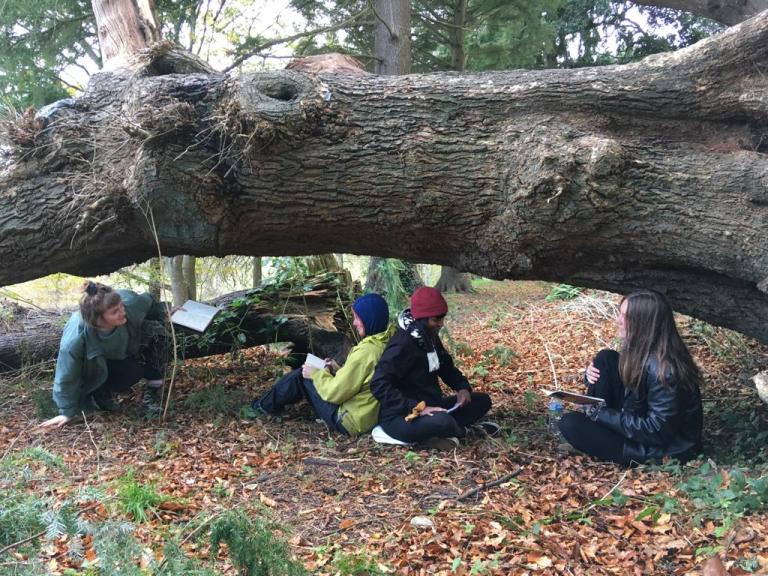 Placemaking through Change: 100 years of adaptive learning ...